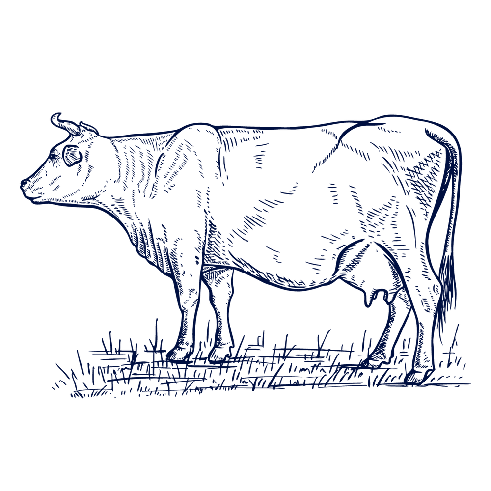 Shop – Quail Run Farm