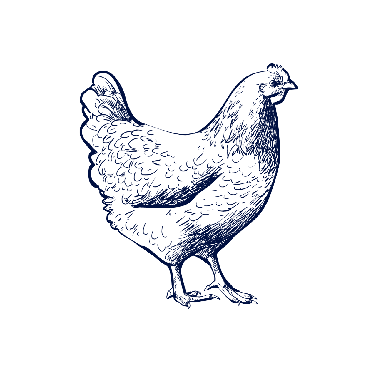 Poultry – Quail Run Farm