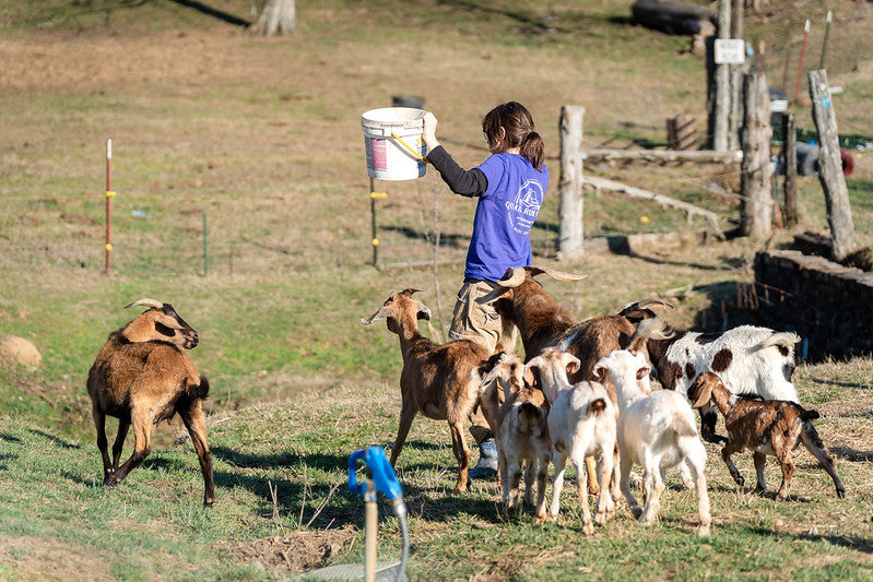 Book a Tour – Quail Run Farm