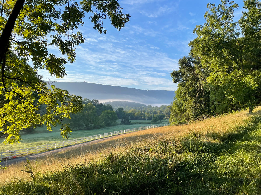 Quail Run Farm | Explore Our Farm